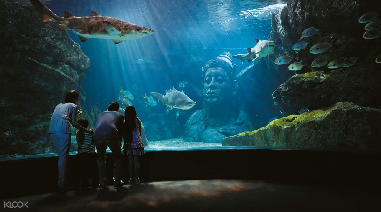 Buy Sea Life Bangkok Ocean World Ticket Online